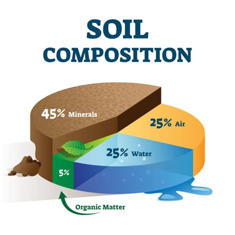 Soil Composition And Types Geology Science