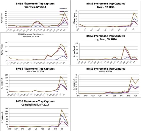 BMSB Trap Scouting Update BMSB Managed Orchard Trap Numbers Drop