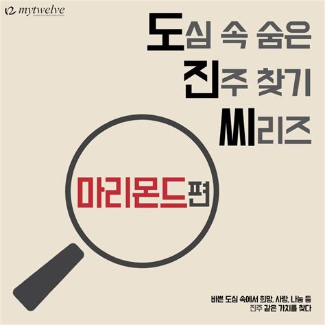 마이트웰브 바쁜 도심 속 조개 속 진주와 같이 숨어있는 희망 사랑 나눔 등의 가치를 찾아갑니다