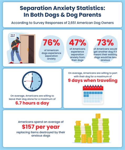 Separation Anxiety In Dogs And Dog Owners In 2021 Certapet®