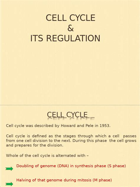 Cell Cycle Its Regulation Pdf