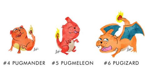 Pugemon If All The Original Pokemon Were Pugs