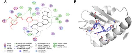 A Binding Mode Of Compound 25 Depicted As A 2d Diagram The Figure