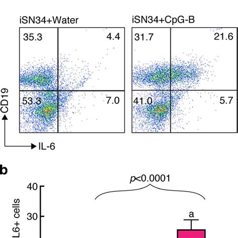 Representative Flow Cytometry Plots Dot Plot Of Forward Angle Versus Download Scientific