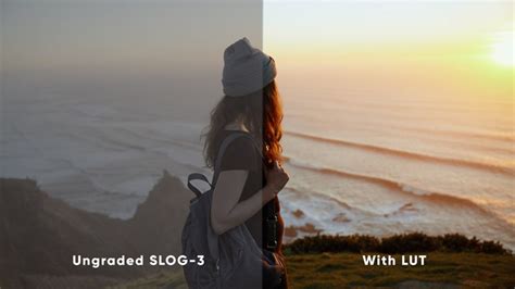 SONY S LOG LUTS Etsy