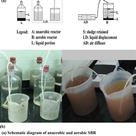 Schematic And Lab Scale Diagram Of Anaerobic Aerobic Sbr Download Scientific Diagram