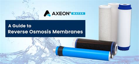 A Guide To Reverse Osmosis Membranes Axeon Water