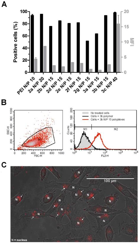 Figure 5 From Impact Of The Structure Of Biocompatible Aliphatic Polycarbonates On Sirna