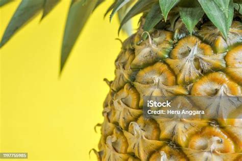 明るい黄色の背景にパイナップル明るい黄色の背景に新鮮なパイナップル まぶしいのストックフォトや画像を多数ご用意 まぶしい