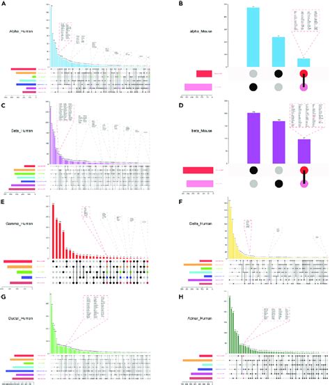 robust marker genes of endocrine and exocrine cells are identified