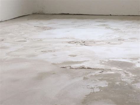 Self Leveling Screed Issue Ceiling Walls And Flooring Works