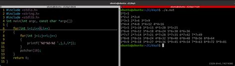 c基础day5 csdn博客