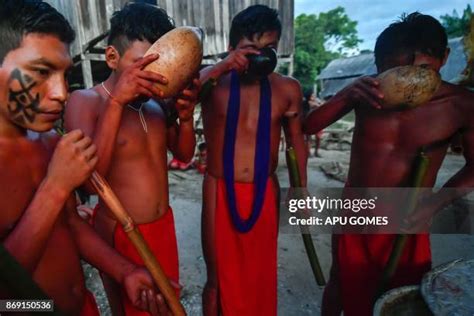 71 Waiapi Tribe Photos And High Res Pictures Getty Images