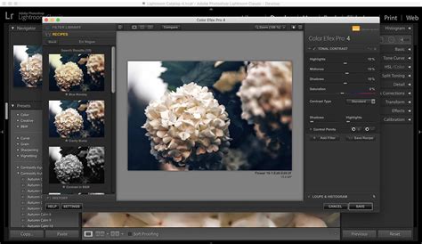 10 Of The Best Lightroom Classic Plugins And Tools You Must Try Contrastly