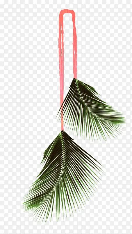 Png Png