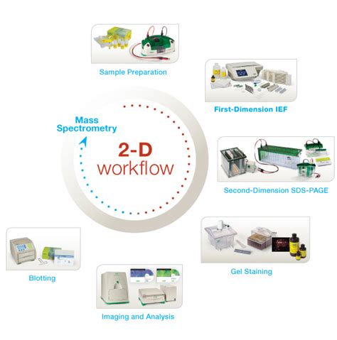 Biorad Stripping Buffer Recipe Pdf