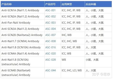 电压门控离子通道抗体“集锦”知多少 知乎