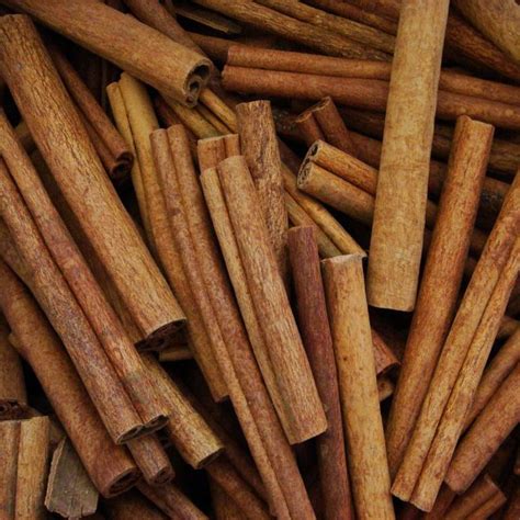 Polynesian Produce Stand Ceylon Cinnamon Spice Tree Cinnamomum
