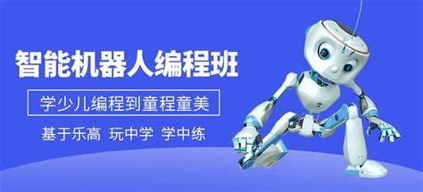 大连少儿编程培训班 大连智能机器人编程培训 大连童程童美