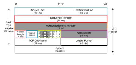 Tcp와 Udp