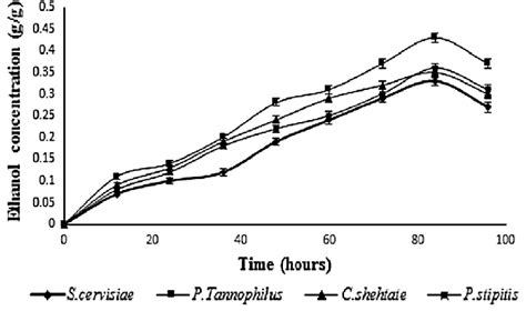 Ethanol Production From Water Hyacinth Hydrolysates By Yeast Strains