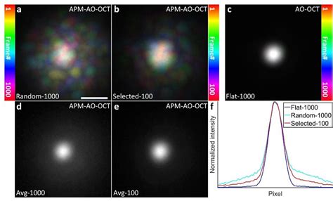 Comparison Of The Lateral Extent Of Ao Oct And Apm Ao Oct Psfs At The