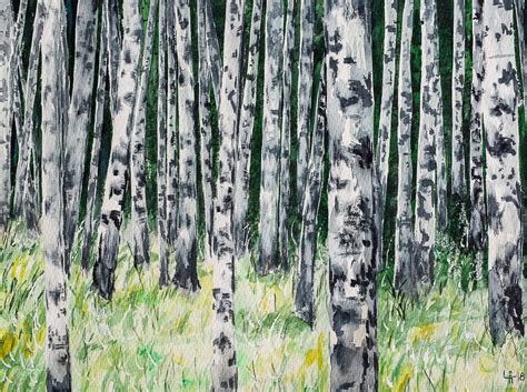 Åkerstedt Lars Göran Konst Och Kulturrundan I Kolbäcksådalen