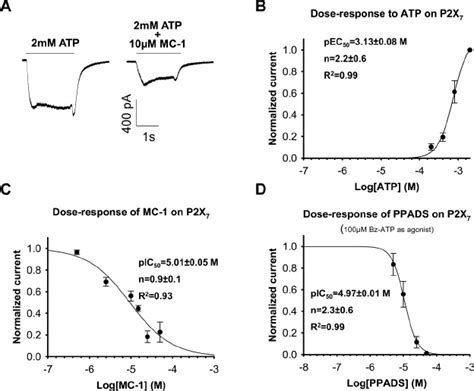 Mc 1 Pyridoxal 5 Phosphate Is A P2x 7 Receptor Antagonist A Download Scientific Diagram