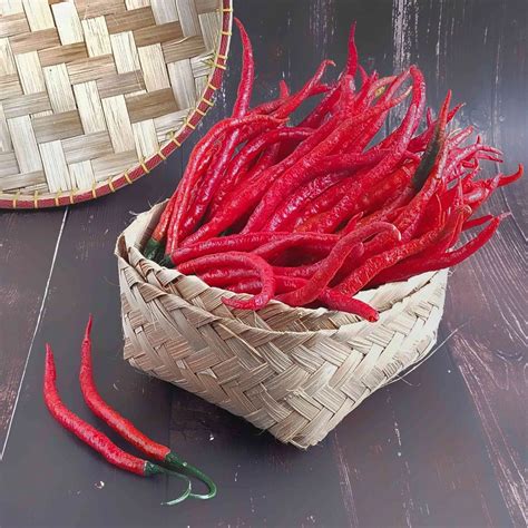 Resep Tips Menyimpan Cabe Keriting Tipsandalan Sederhana Rumahan Di