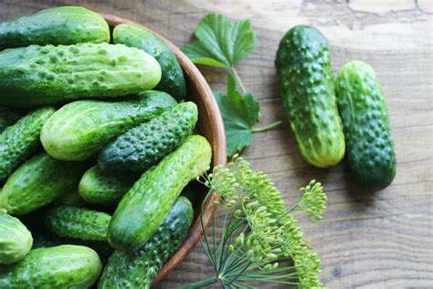 The Delectable Homemade Pickles Cucumber Minneopa Orchards