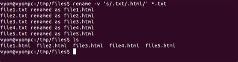 Rename Files In Linux Mv Rename And Multiple Files At Once