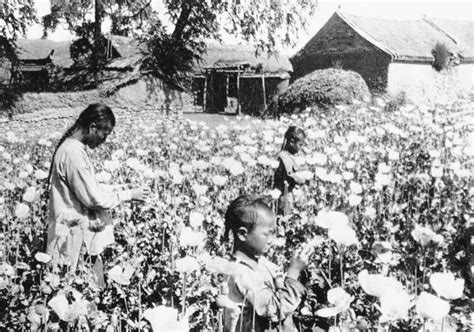 Opium For The Masses History Today