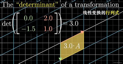 05 行列式 Csdn博客