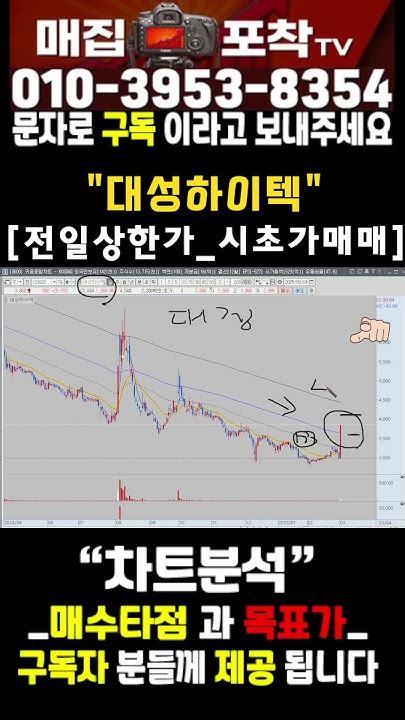 대성하이텍 주가전망 시장테마 로봇우쿠라이나재건 매수타점 과 목표가 차트분석종목분석 주식 주가전망 상한가 급등주 단타 대장주 주도주 차트분석