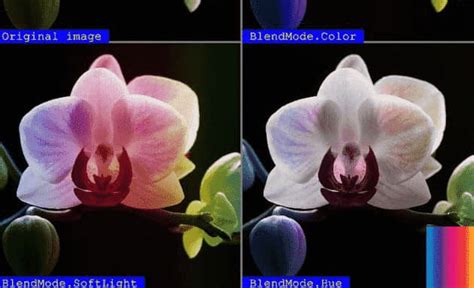 Net Imaging Api Load Edit Save Images In Net Document Solutions