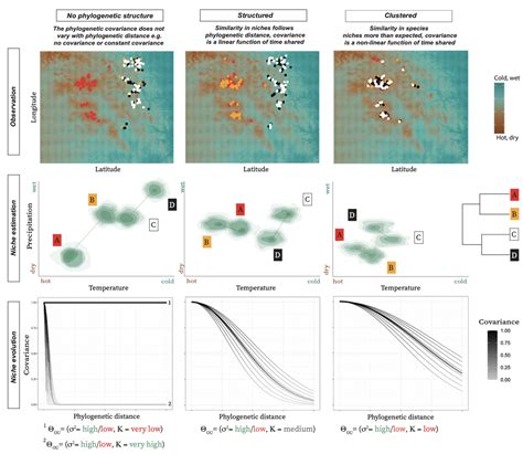 Measuring The Evolution Of N Dimensional Environmental Niches