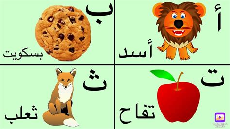 تعليم الاطفال الحروف العربية مع الأمثلة من أ الي ض Carameltv7945