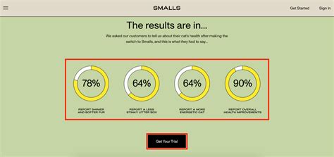 PAS Copywriting Formula Explained With Real Examples Starter Story