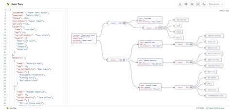 Amit Chauhan Software Developer