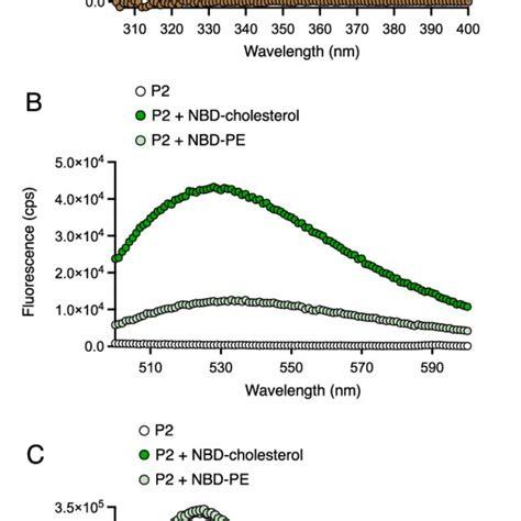 Tryptophan Fluorescence Of Peptide Containing The Ah Of Ifitm3 Download Scientific Diagram