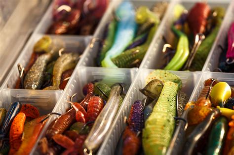 Bass Fishing Tips Outdoor Life