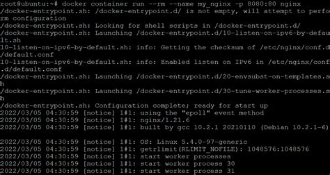Up Your Devops Game With These Docker Run Example