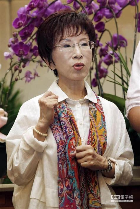 名嘴攻擊學歷？洪秀柱：學歷不等於能力 政治 中時