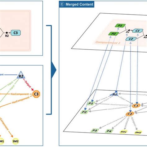 Schematic View Of A Pathway Made Up Of Two Reactions A The Pathway Download Scientific