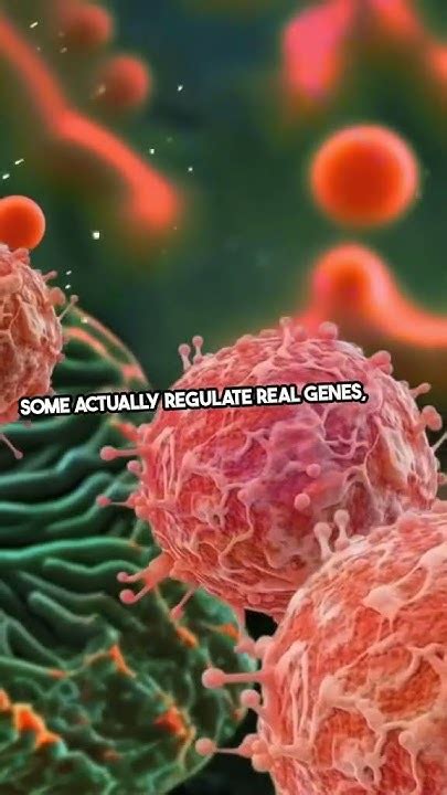 The Hidden Power Of Pseudogenesgenetics Pseudogenes Dna