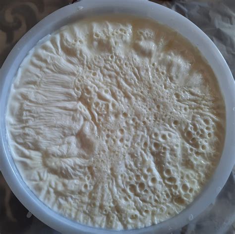 ماستی کوردی فەرمان باوەمردەیی