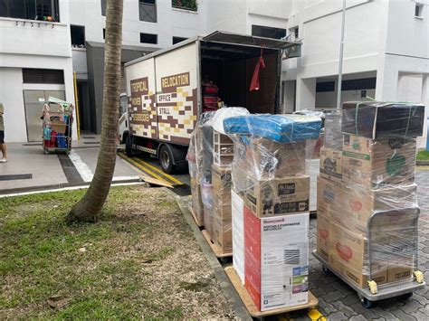 Movers And Deliveryhouse Moving Bunk Bed Disassembly Assemblymovers