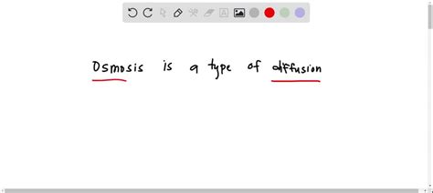 Solved Explain The Relationship Between Diffusion Osmosis And The