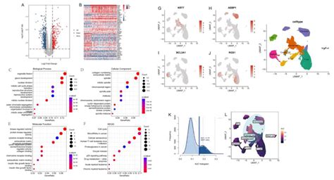 Identification Of Nac Related Differentially Expressed Genes And