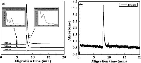 Ce Electropherograms Of A Tri Functional Pamam Nanodevice G5ac 82
